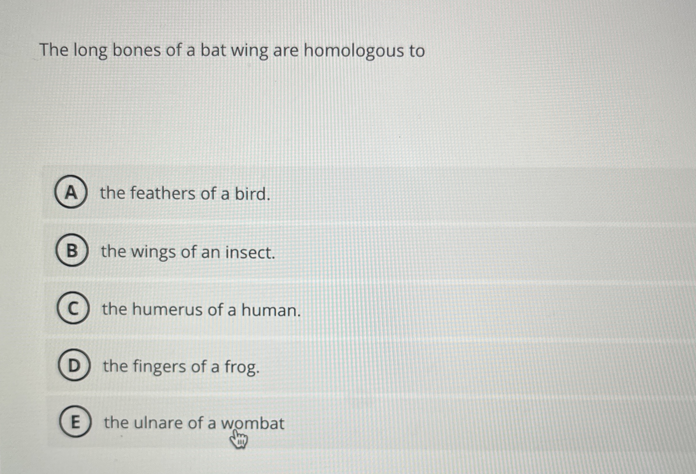 Solved The long bones of a bat wing are homologous tothe | Chegg.com