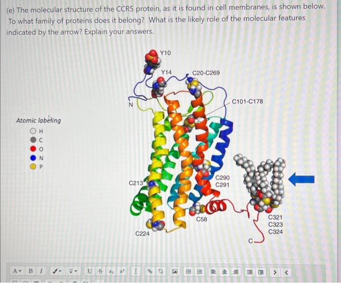 Solved (e) The molecular structure of the CCR5 protein, as | Chegg.com