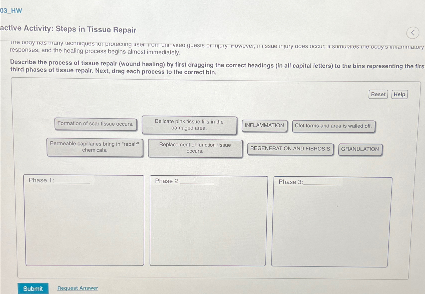 Solved 03_HWactive Activity: Steps in Tissue Repair | Chegg.com