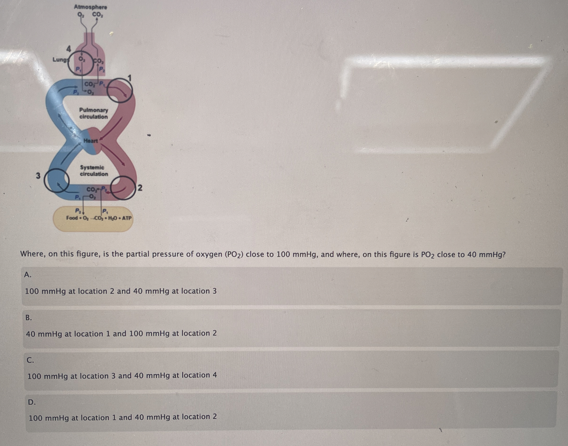 Solved Where, on this figure, is the partial pressure of | Chegg.com