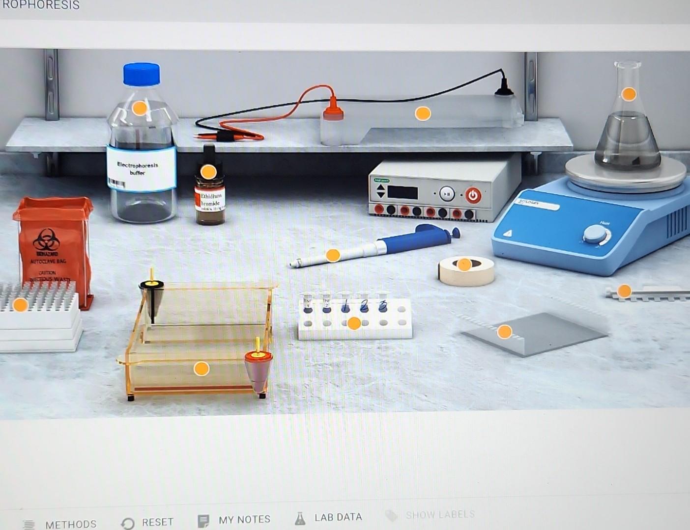 Solved labeling | Chegg.com