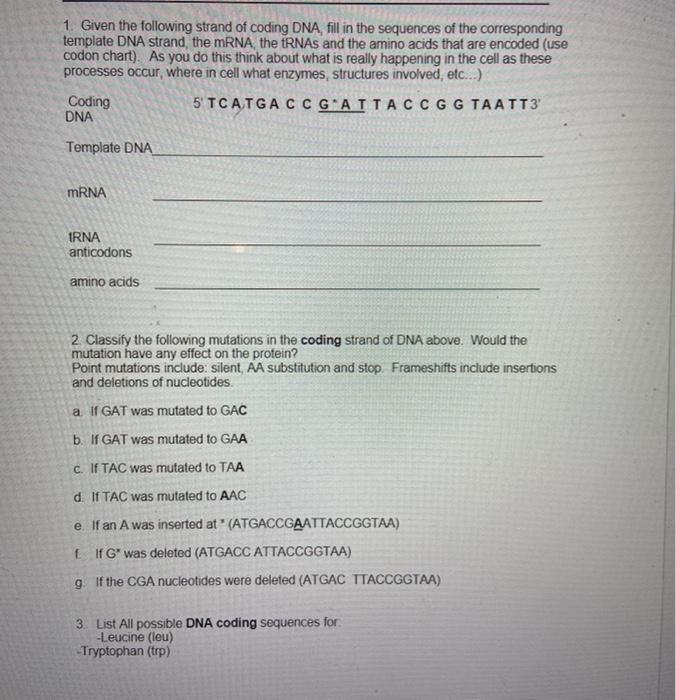 Solved 1 Given the following strand of coding DNA, fill in | Chegg.com