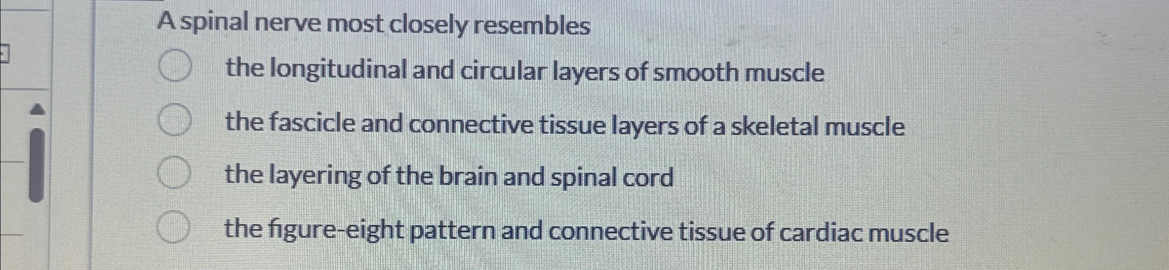 Solved A spinal nerve most closely resemblesthe longitudinal | Chegg.com
