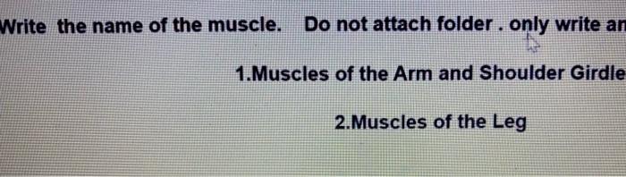 Solved Write the name of the muscle. Do not attach folder . | Chegg.com