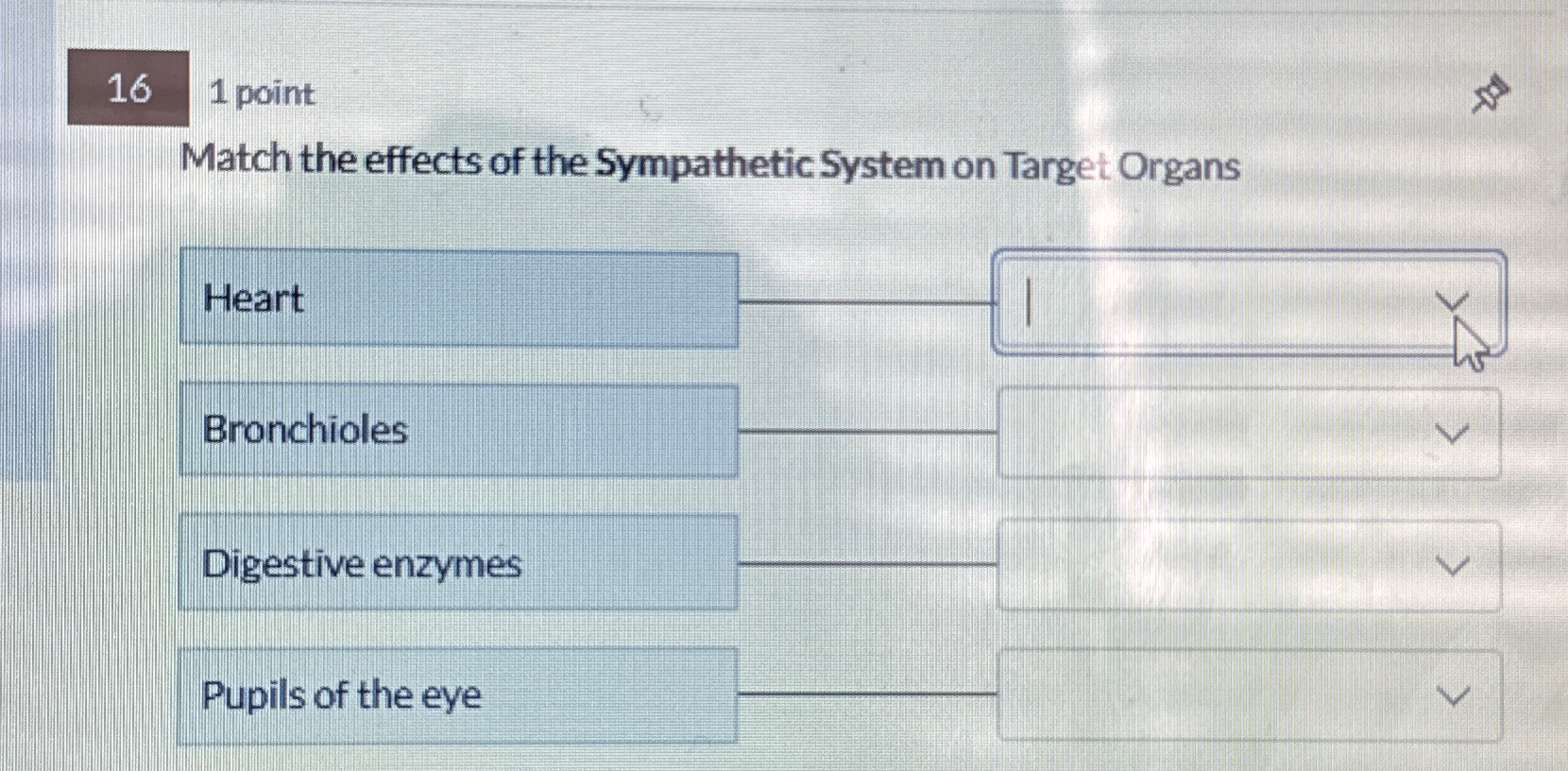 Solved 161 ﻿pointMatch the effects of the Sympathetic System | Chegg.com
