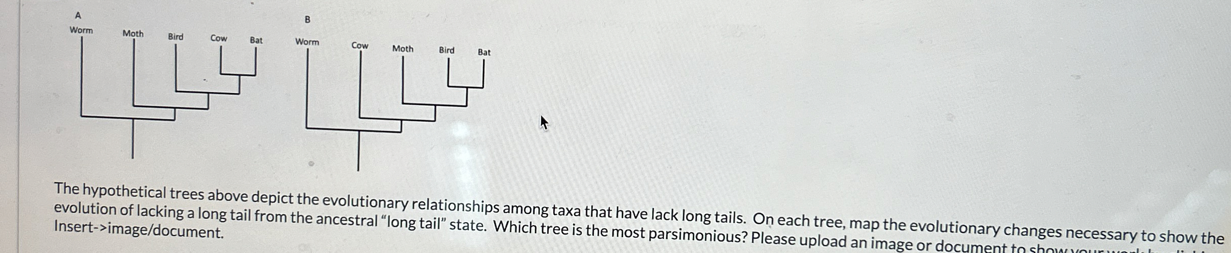 Solved The hypothetical trees above depict the evolutionary | Chegg.com