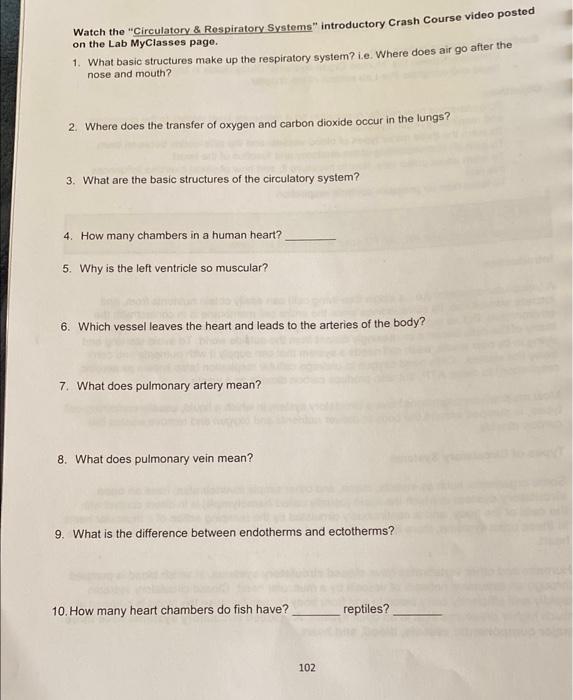 Solved Watch the "Circulatory & Respiratory Systems" | Chegg.com