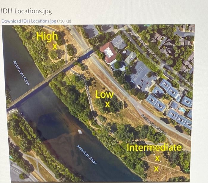 IDH SUPPLEMENTARY EXERCISE During our IDH laboratory | Chegg.com