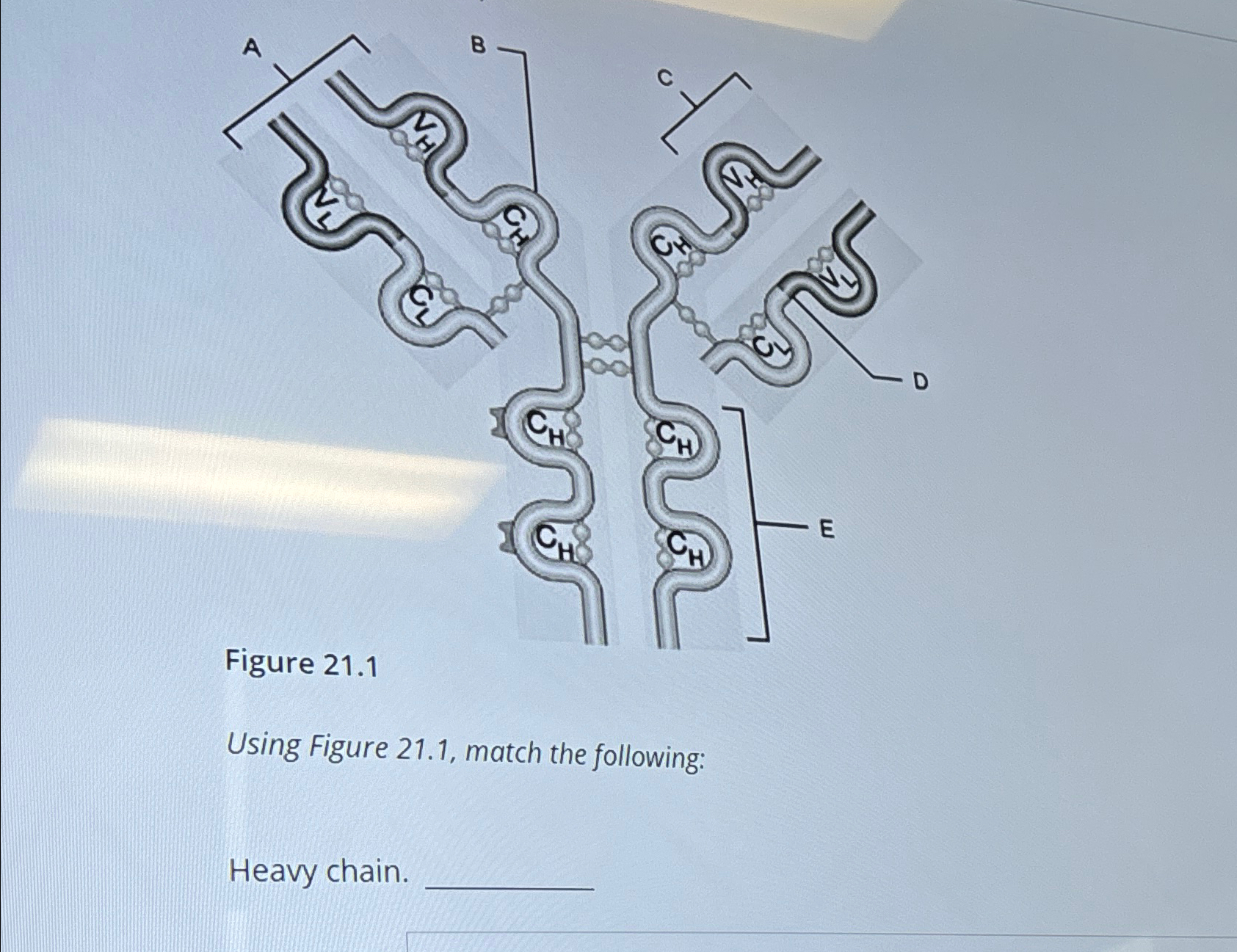 Solved Figure 21.1Using Figure 21.1, ﻿match the | Chegg.com