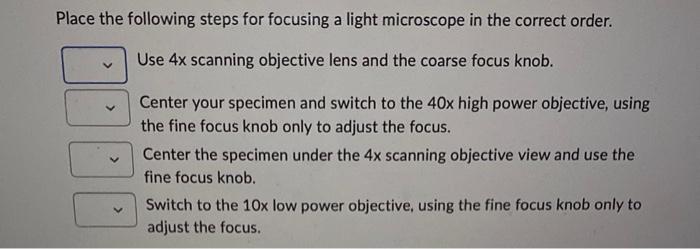 Solved Place the following steps for focusing a light | Chegg.com