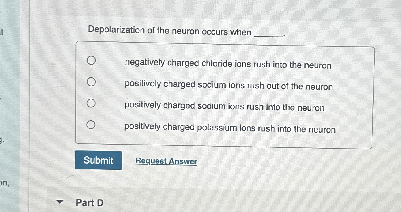 Solved Depolarization Of The Neuron Occurs Whennegatively