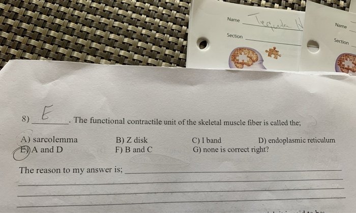 Solved Name Name Section Section E The functional | Chegg.com