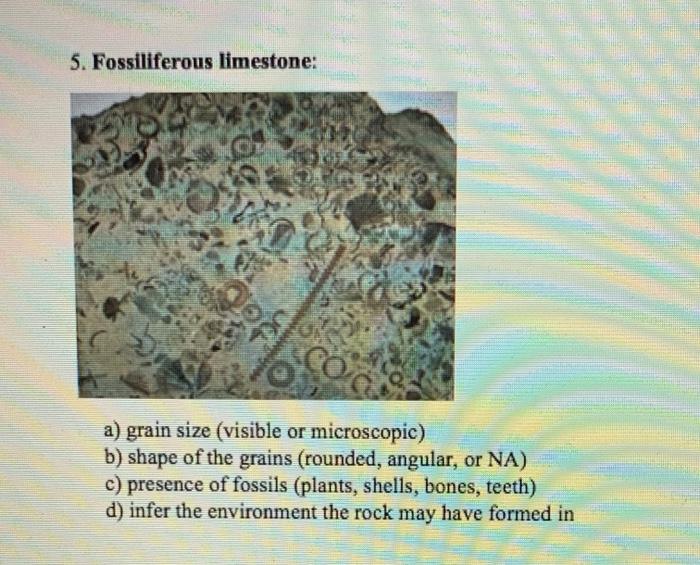 Solved 5. Fossiliferous limestone: a) grain size (visible or | Chegg.com
