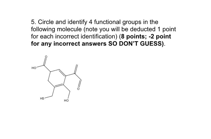 Solved 5. Circle and identify 4 functional groups in the | Chegg.com