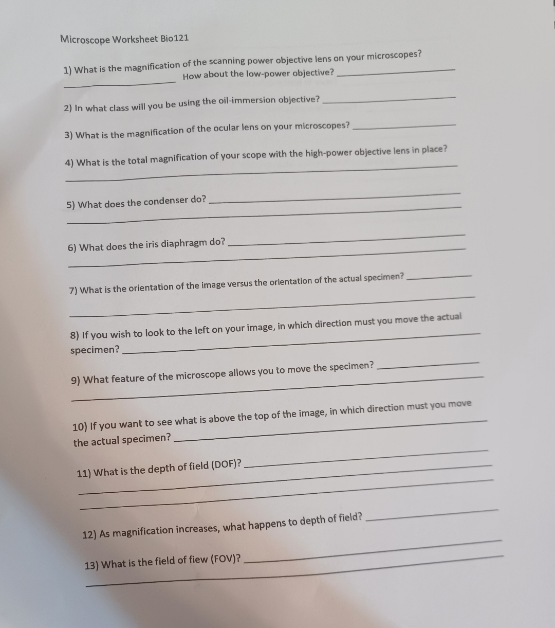 Solved Microscope Worksheet Bio121What is the magnification | Chegg.com