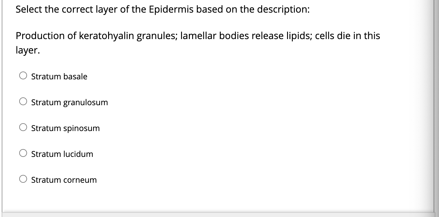 Solved Select the correct layer of the Epidermis based on | Chegg.com