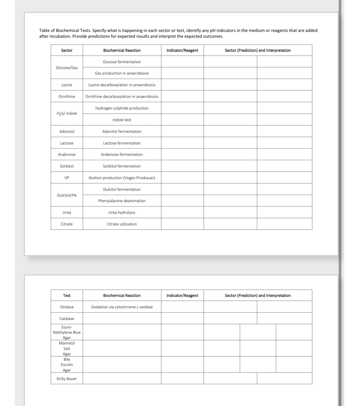 Solved Table of Biochemical Tests. Specify what is happening | Chegg.com