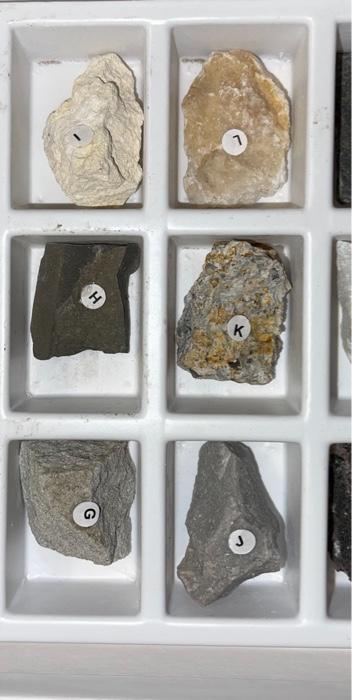 Solved 1. Sample G is an example of a: a. Clastic | Chegg.com