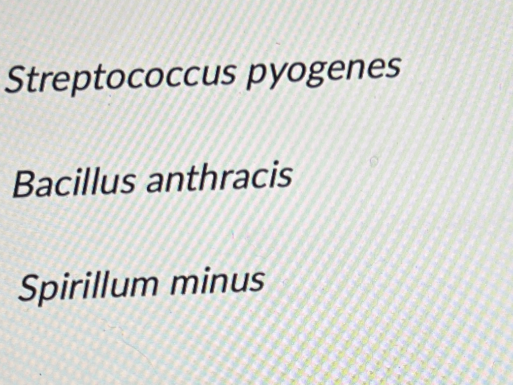 Solved Streptococcus pyogenesBacillus anthracisSpirillum | Chegg.com