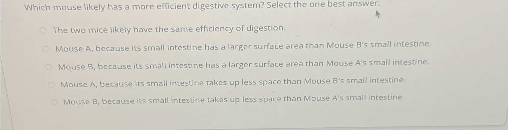 Solved Which mouse likely has a more efficient digestive | Chegg.com
