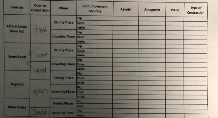 Exercise Open or closed chain Phase Joint, movement | Chegg.com