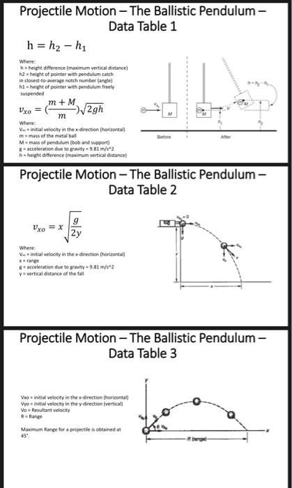 Solved Preliminary Data for Data Table 3 Angle of Average | Chegg.com