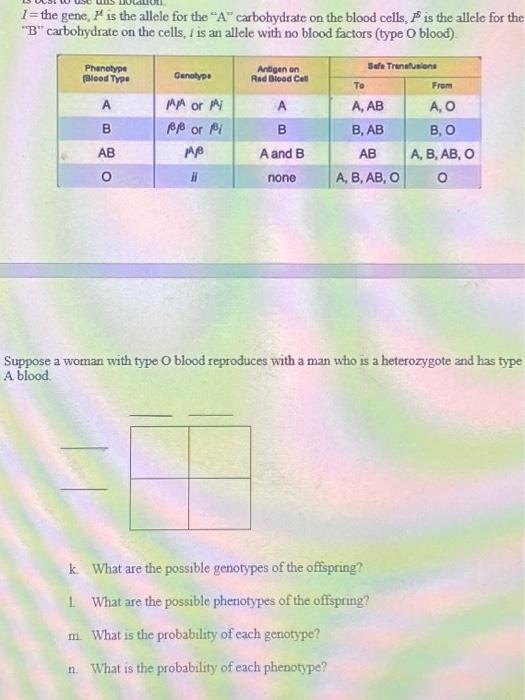 Solved I= the gene, I is the allele for the " A " | Chegg.com