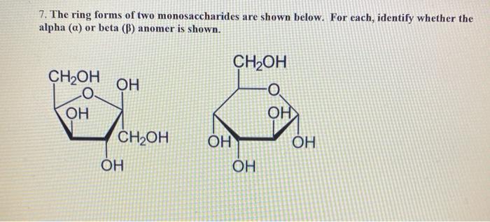 Solved 7. The ring forms of two monosaccharides are shown | Chegg.com