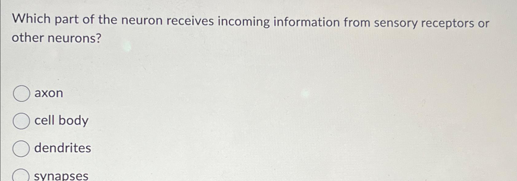 Solved Which part of the neuron receives incoming | Chegg.com