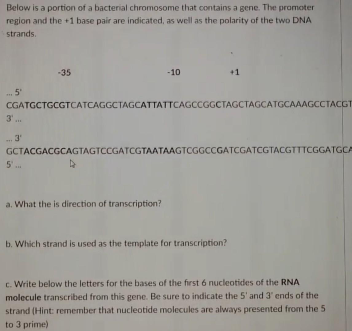 Solved I'm confused about how I need to read the direction I | Chegg.com