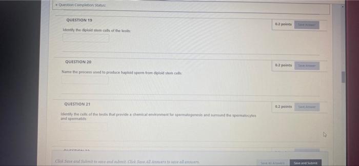 Solved Question completion Status QUESTION 19 0.2 points | Chegg.com