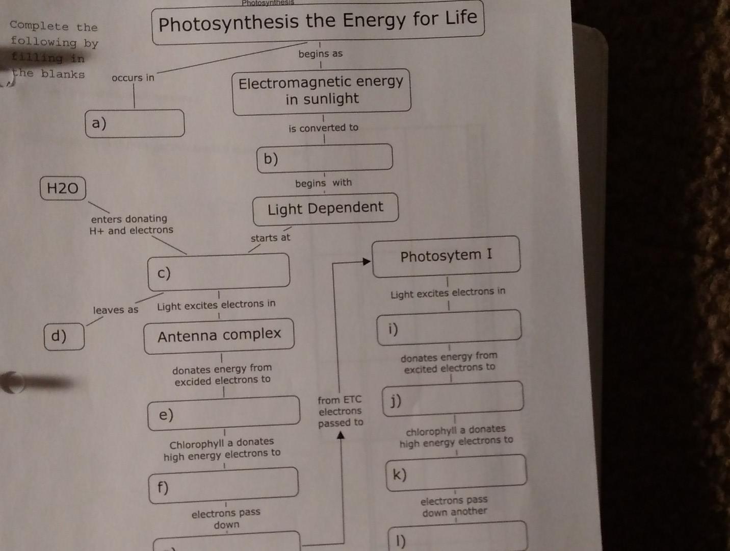 Solved Photosynthe Photosynthesis the Energy for Life | Chegg.com