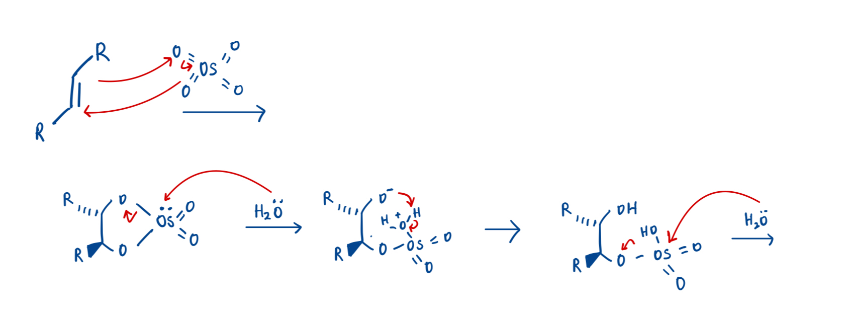Solved Understanding dihydroxylation of alkenes using | Chegg.com