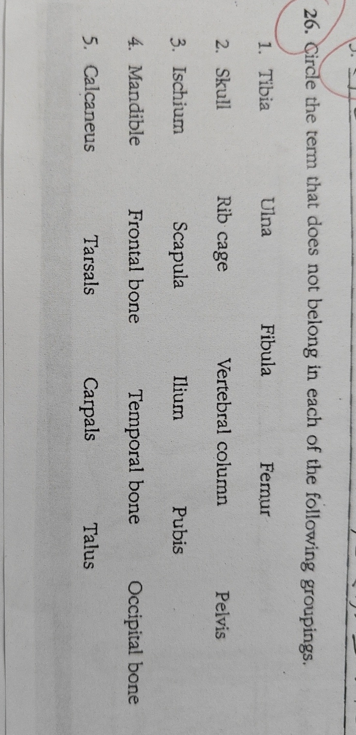 Solved Circle the term that does not belong in each of the | Chegg.com