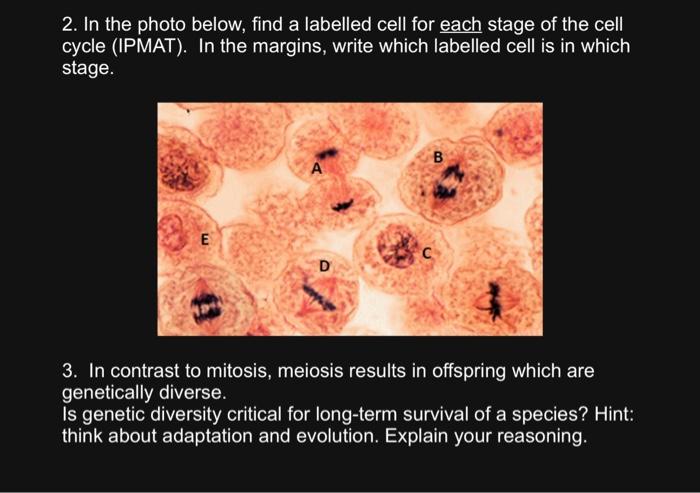 Solved 2. In the photo below, find a labelled cell for each | Chegg.com