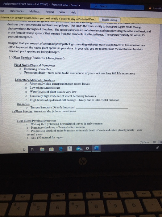 - Design Assigment Plan d Layout References e F.2019 | Chegg.com