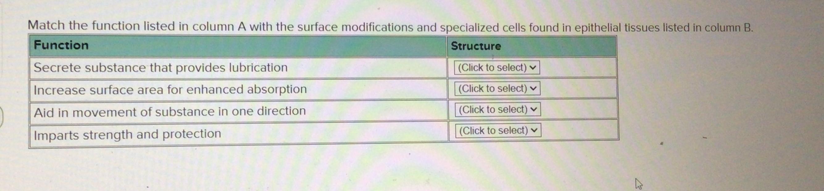 Solved Match the function listed in column A with the | Chegg.com
