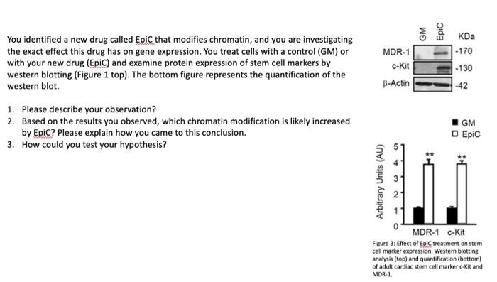 Solved You identified a new drug called EpiC...Please help | Chegg.com