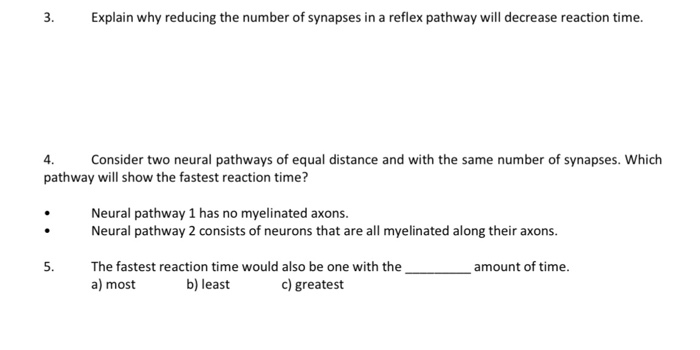 Solved 3 . 3. Explain why reducing the number of synapses in | Chegg.com