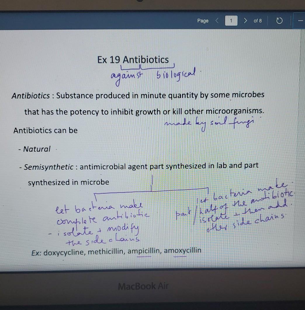 Solved Your Name Experiment Date Expt # 19. Antibiotic Disc | Chegg.com