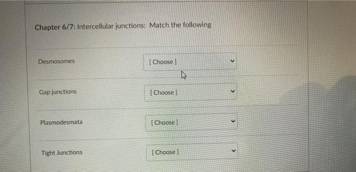 Solved Chapter 6/7: Intercellular junctions: Match the | Chegg.com