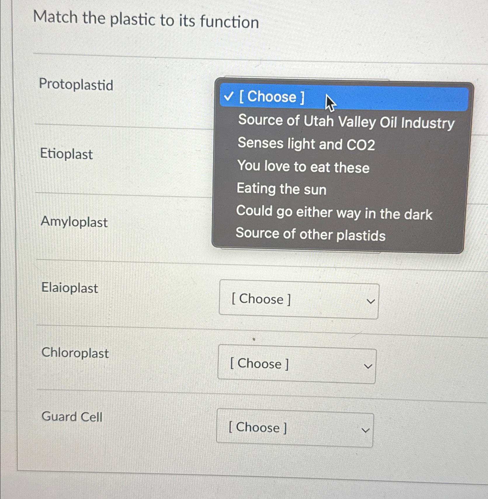 Solved Match the plastic to its | Chegg.com