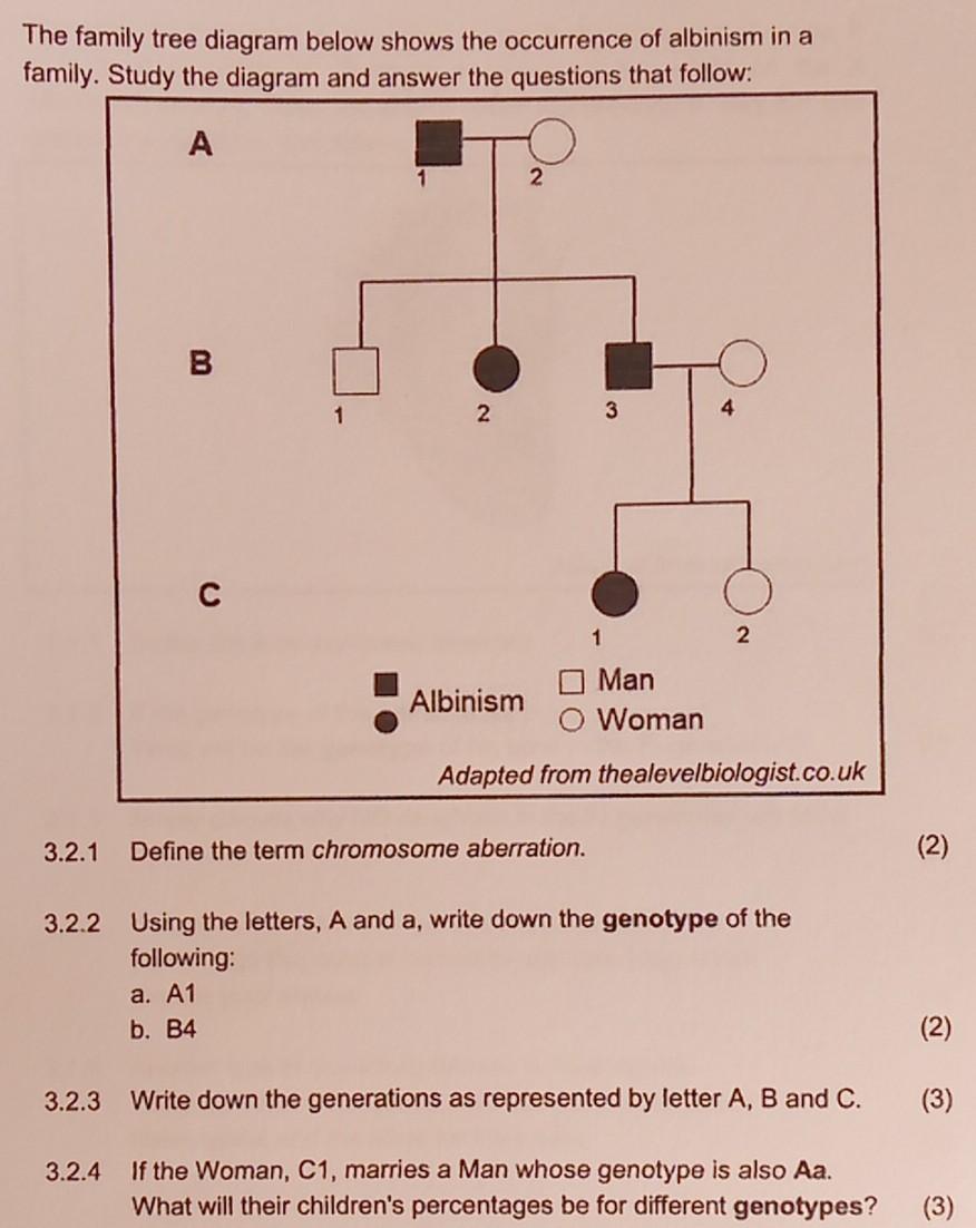 Solved The family tree diagram below shows the occurrence of | Chegg.com