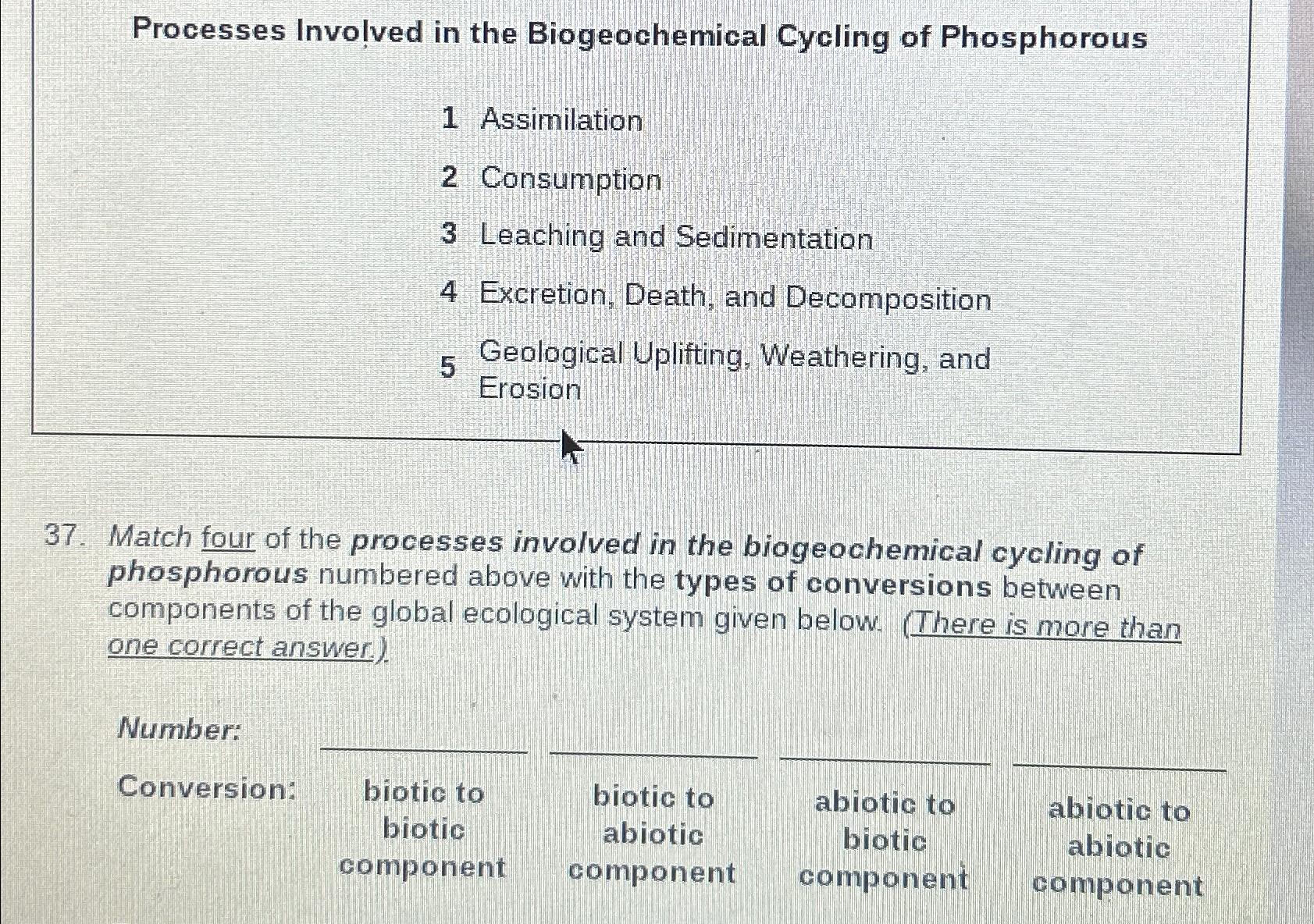 Solved Processes Involved in the Biogeochemical Cycling of | Chegg.com
