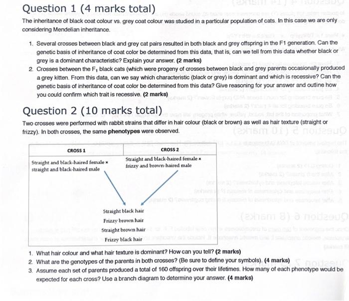 Solved Question 1 (4 marks total) The inheritance of black | Chegg.com
