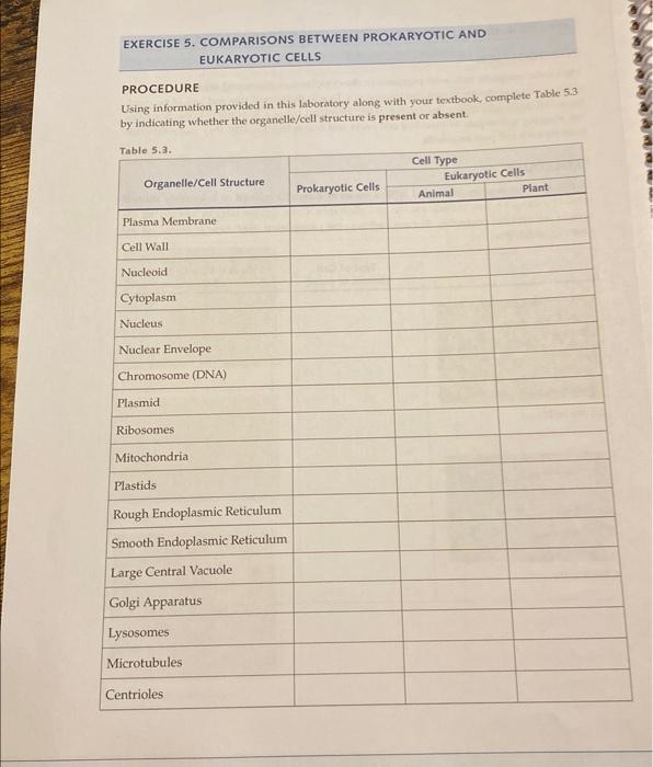 Solved PROCEDURE Using information provided in this | Chegg.com