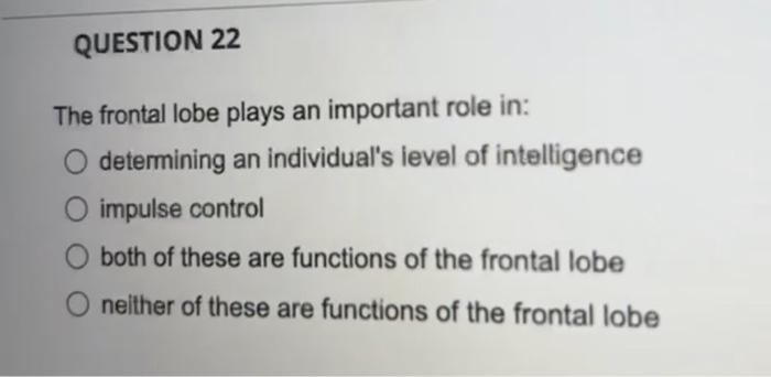 Solved The frontal lobe plays an important role in: | Chegg.com
