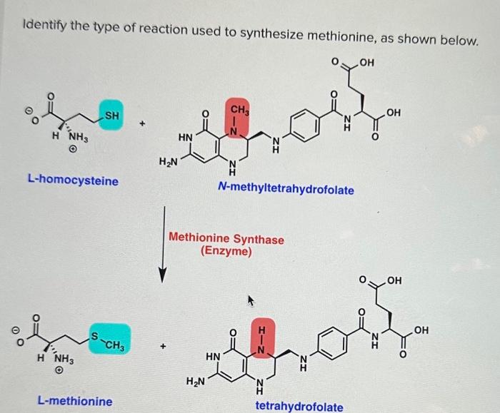 Solved Identify the type of reaction used to synthesize | Chegg.com