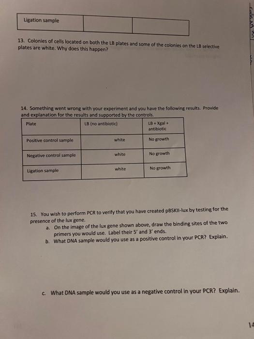 Solved please answer these questions and provide a brief | Chegg.com