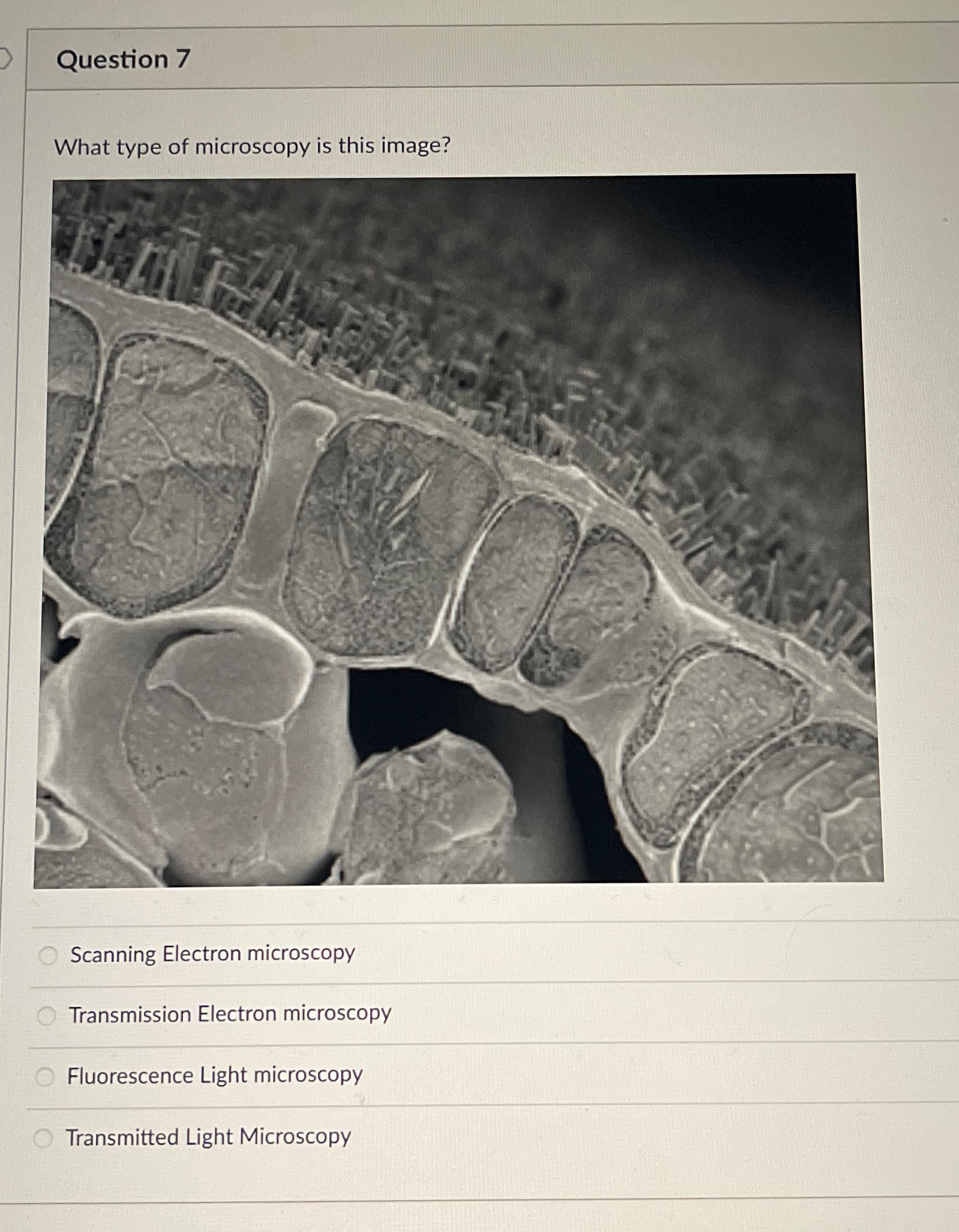 Solved Question 7What type of microscopy is this | Chegg.com